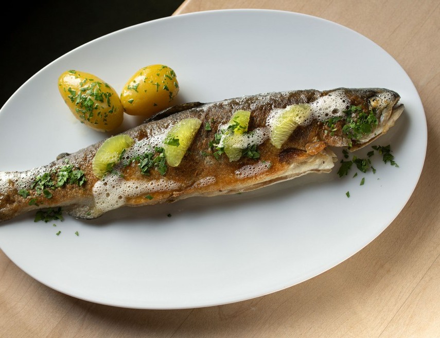 Forellenzucht Zordel